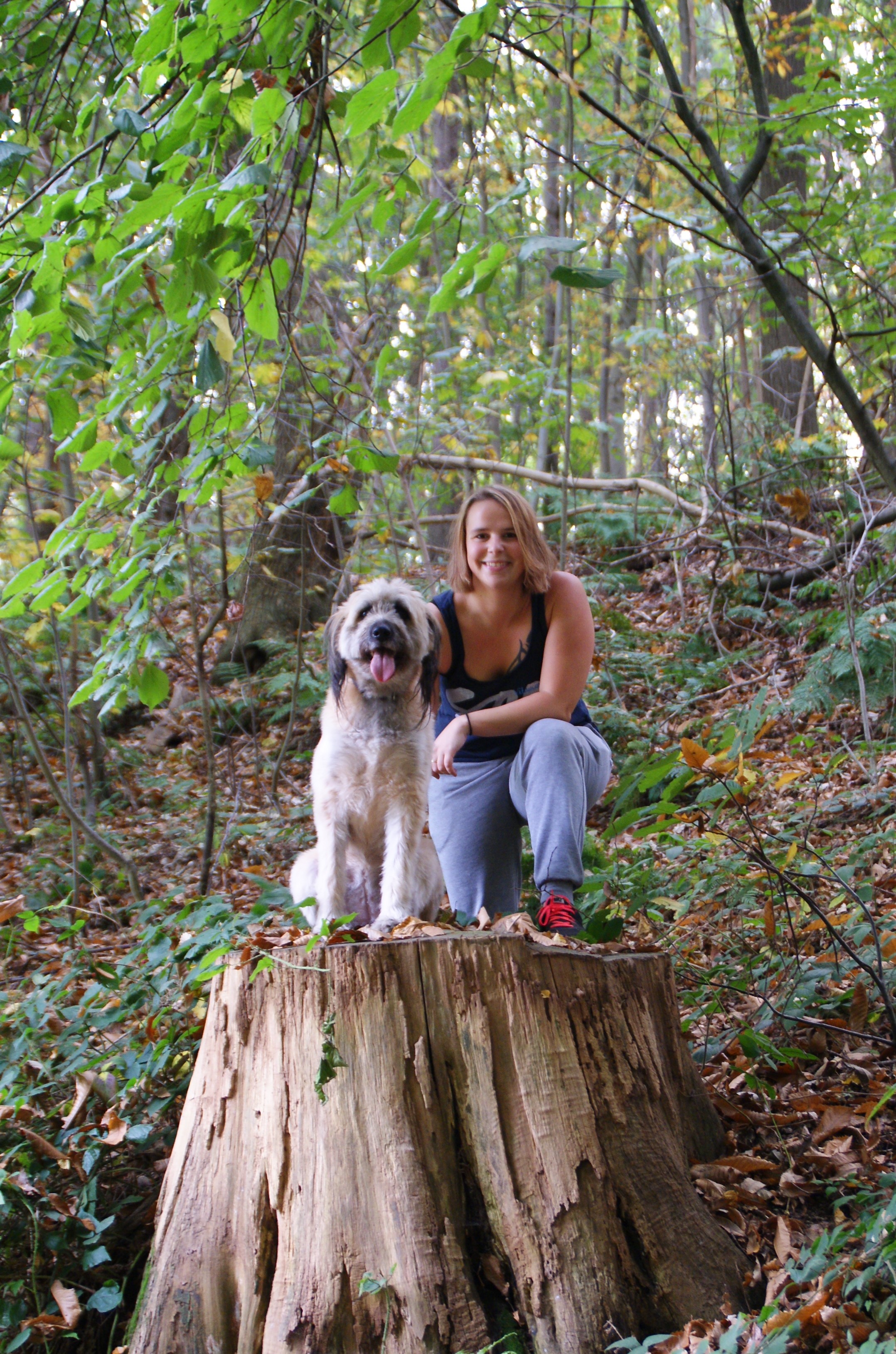 Index of /wp-content/uploads/2020/01